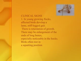 rickets1.pdf