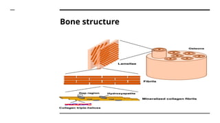 Rickets and bone metabolism children.pptx
