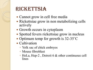 RICKETTSIACEAE | PDF
