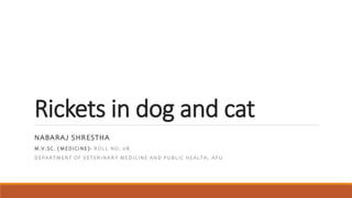 Rickets in dogs; etiology, diagnosis and management | PPT