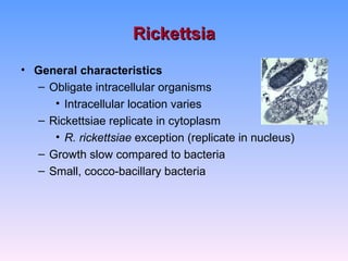 Ricketssia | PPT