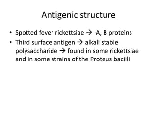 Rickettsia Structure