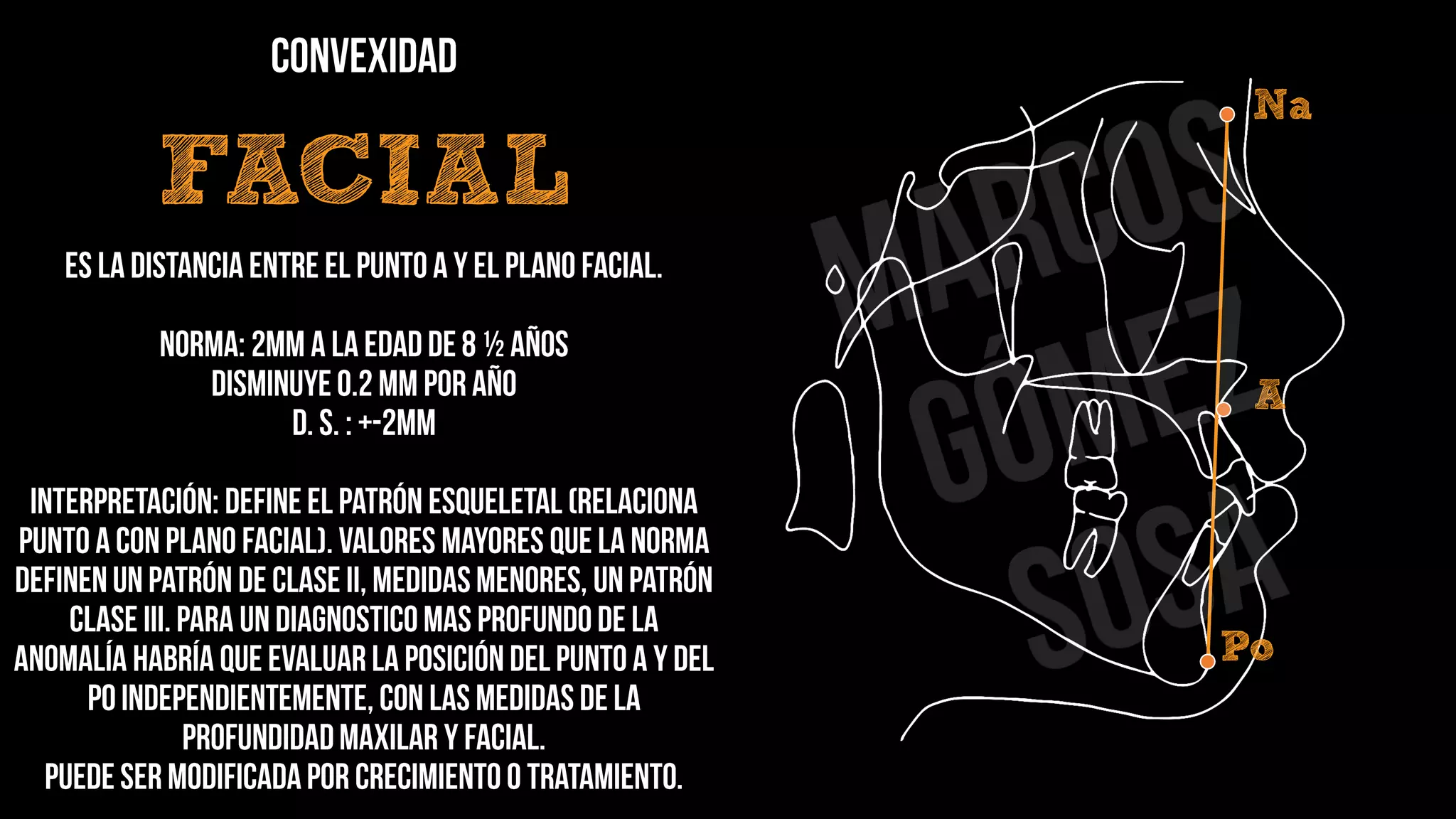 Cefalometría lateral de Ricketts | PDF
