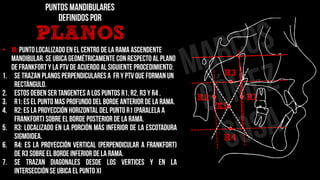 Cefalometría lateral de Ricketts | PDF