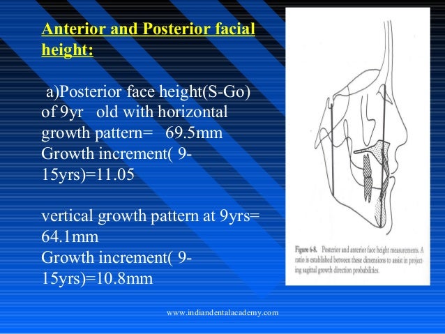 Ricketts analysis /certified fixed orthodontic courses by Indian dent…