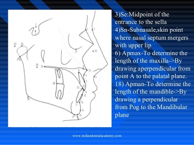 Ricketts analysis in orthodontics /certified fixed orthodontic course…