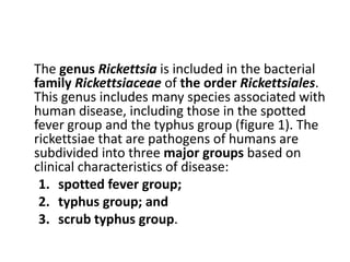 Rickettsia | PPTX