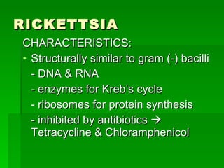Rickettsia | PPT