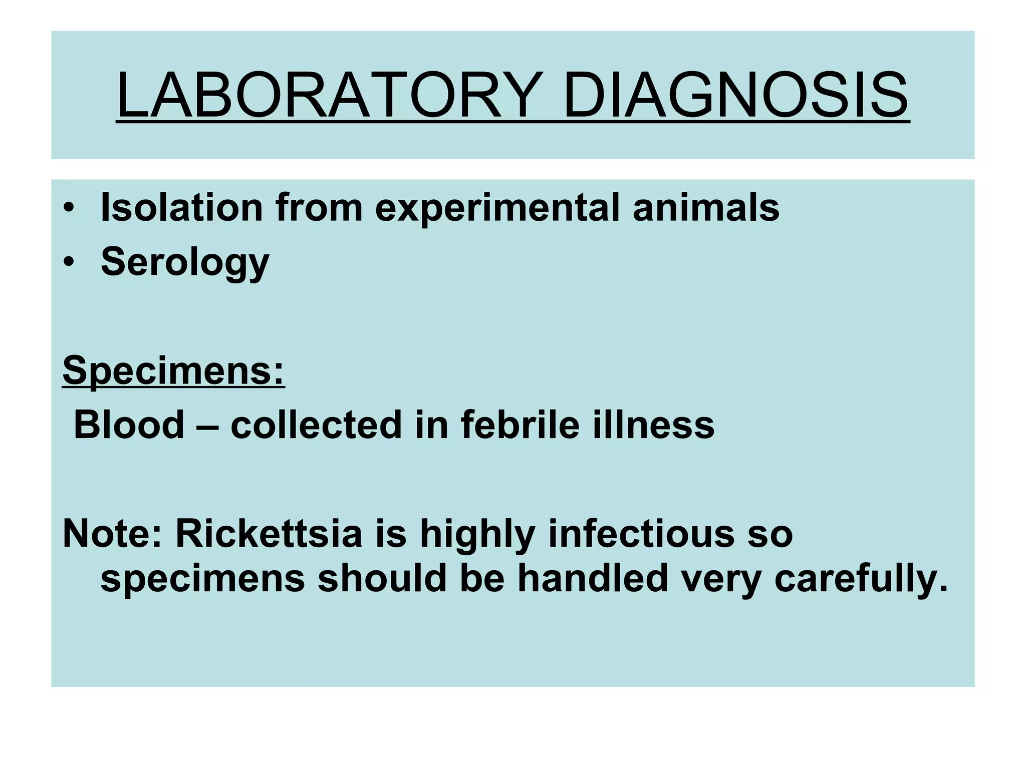 Rickettsia | PPT