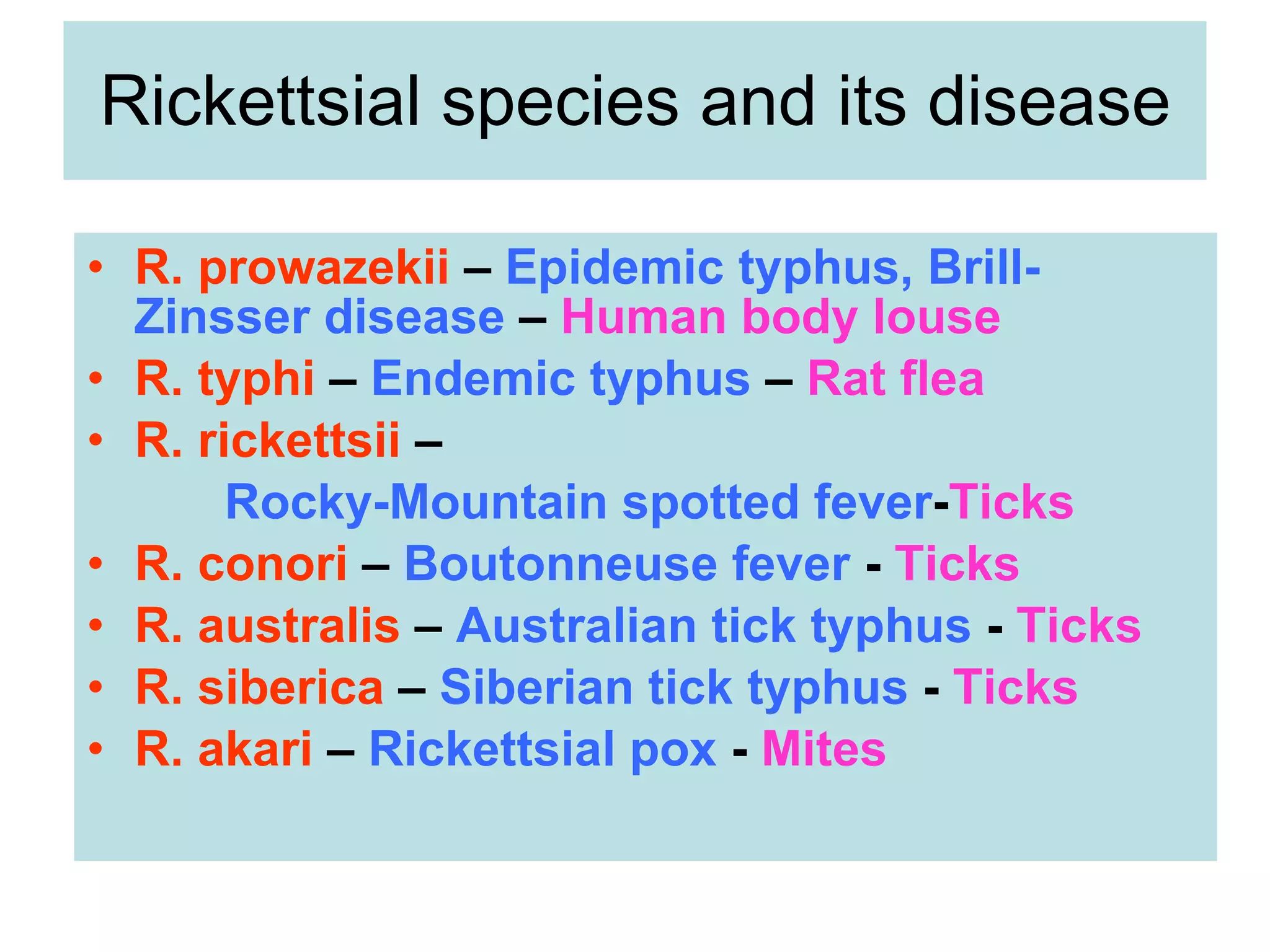 Rickettsia | PPT