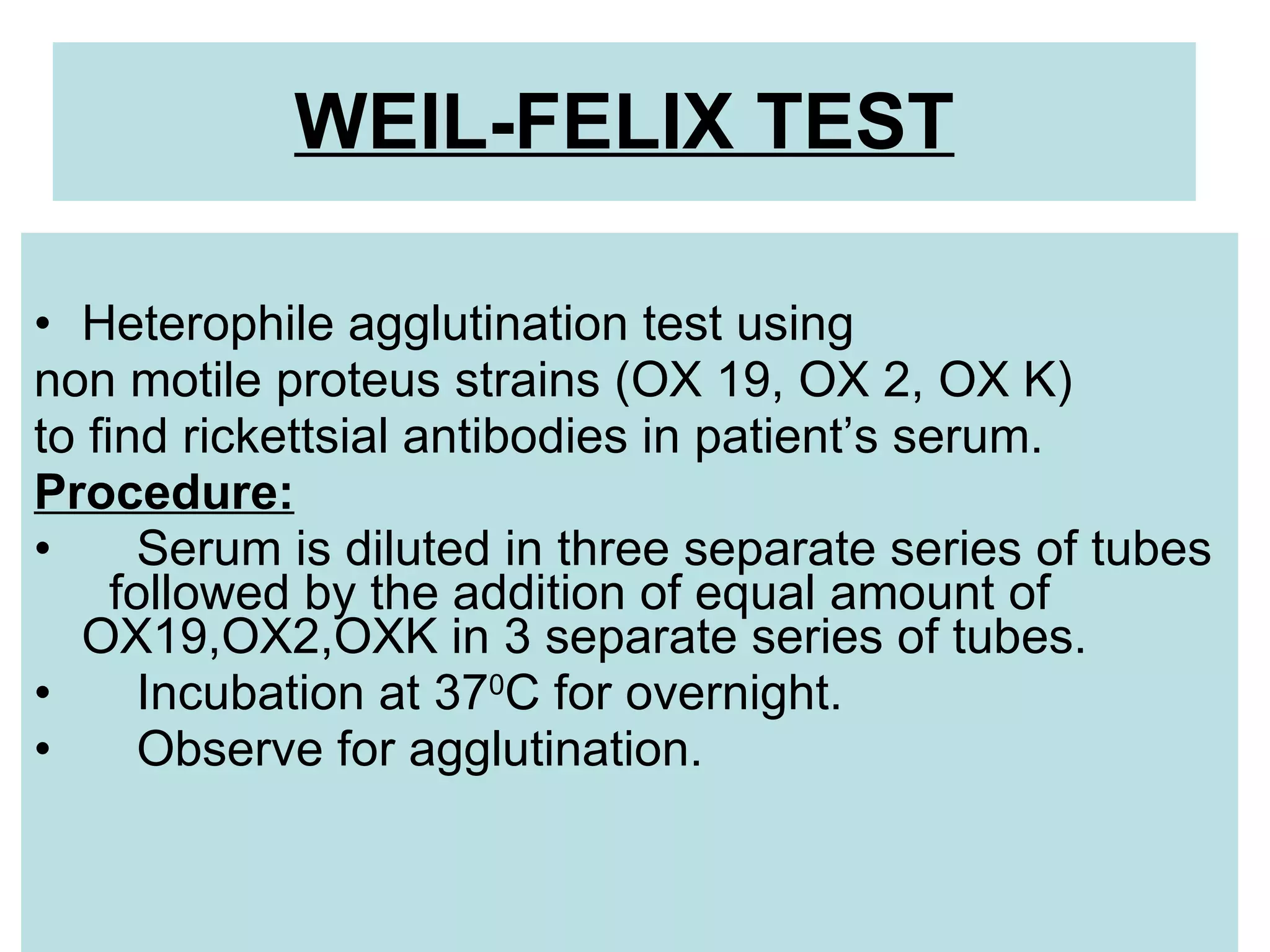 rickettsia-111014075555-phpapp01 (1).pdf | Infectious Diseases ...