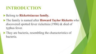 Rickettsia | PPT