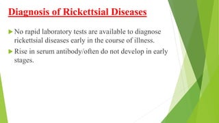 Rickettsia | PPT