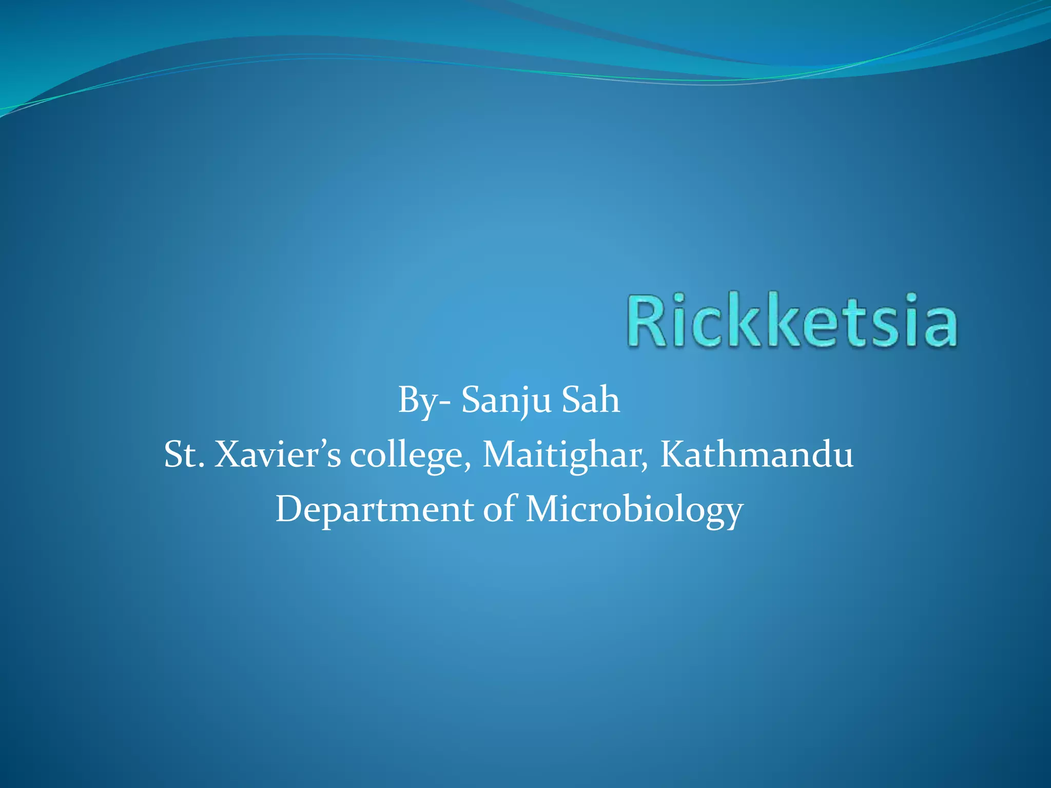 Rickettsia | PPT