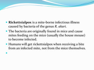 Rickettsia | PPT