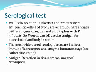 Rickettsia | PPT
