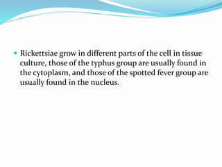 Rickettsia | PPT