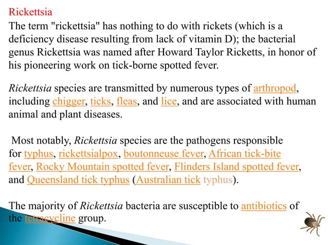 Rickettsia.pptx