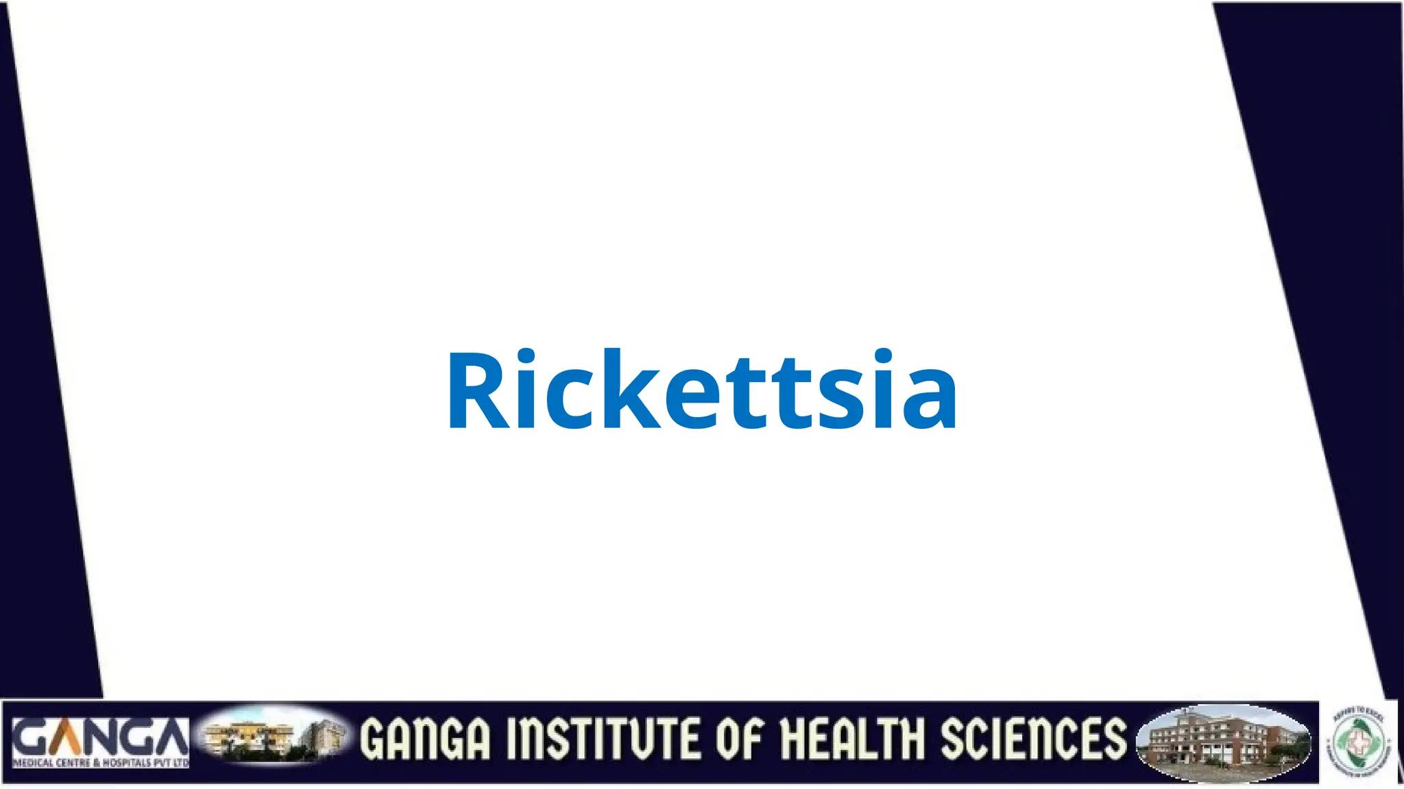 Rickettsia - life cycle and diagnostic methods.pptx | Infectious ...