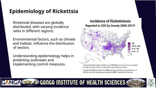 Rickettsia - life cycle and diagnostic methods.pptx | Infectious Diseases | Diseases and Conditions