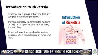 Rickettsia - life cycle and diagnostic methods.pptx | Infectious ...