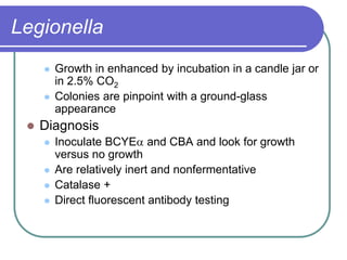 Rickettsia-Chlamydia-Mycoplasma-Legionella-and-Gardnerella.ppt