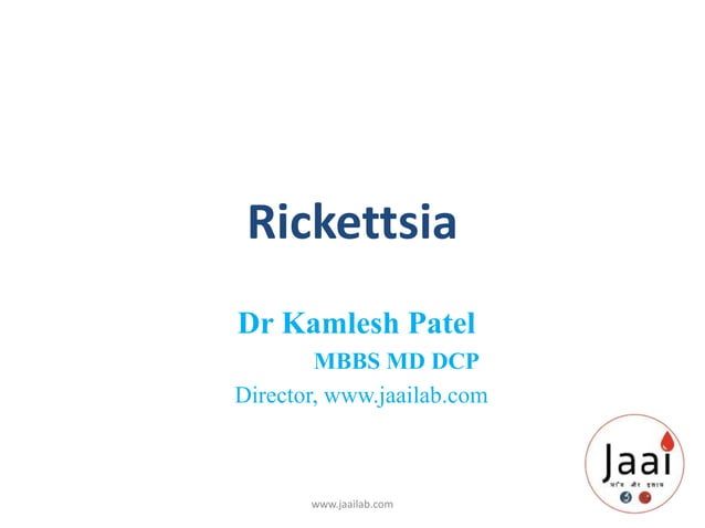Rickettsia dr kamlesh patel | PPT