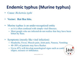 Rickettsia dr kamlesh patel | PPT