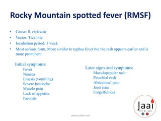 Rickettsia dr kamlesh patel | PPT