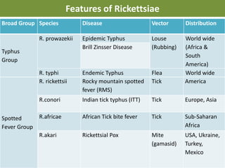 Rickettsia by Dr. Rakesh Prasad Sah.pptx