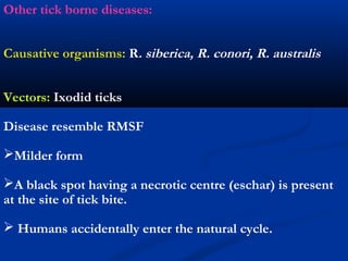 Rickettsiaceae 1 | PPT