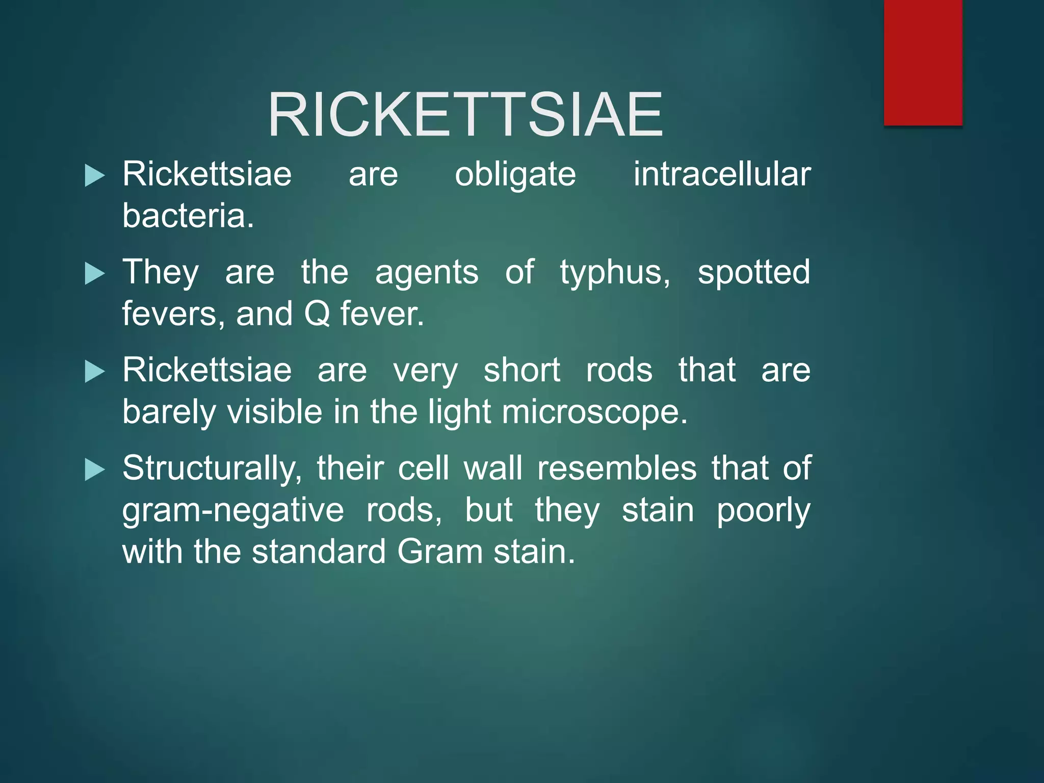 Rickettsia, Chlamydia ,Mycoplasma.pptx
