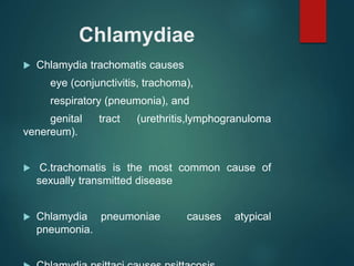 Rickettsia, Chlamydia ,Mycoplasma.pptx