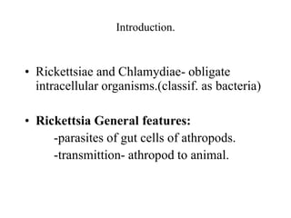 rickettsiachlamydiapresentation-110703092019-phpapp02.pptx