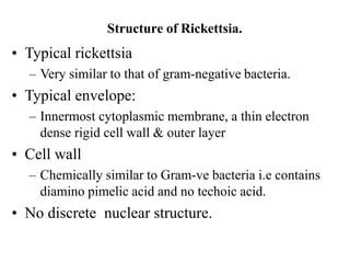 rickettsiachlamydiapresentation-110703092019-phpapp02.pptx