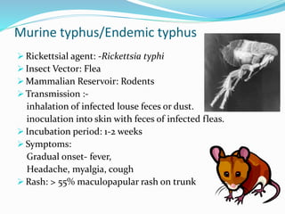 Rickettsiae | PPTX