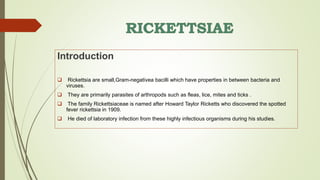 Rickettsiae and chlamydiae 1 | PPTX | Infectious Diseases | Diseases and Conditions