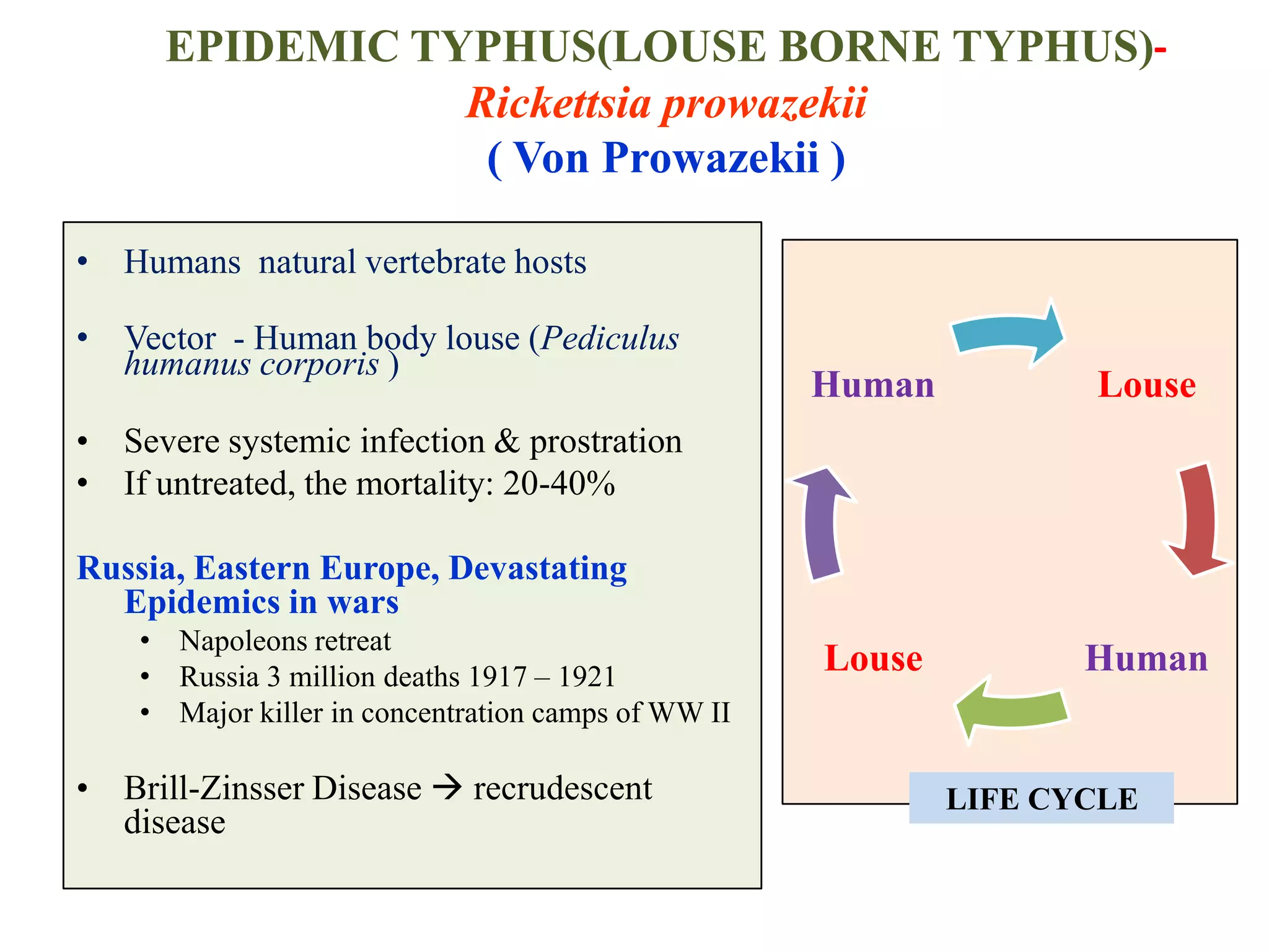 Rickettsial Diseases | PPTX