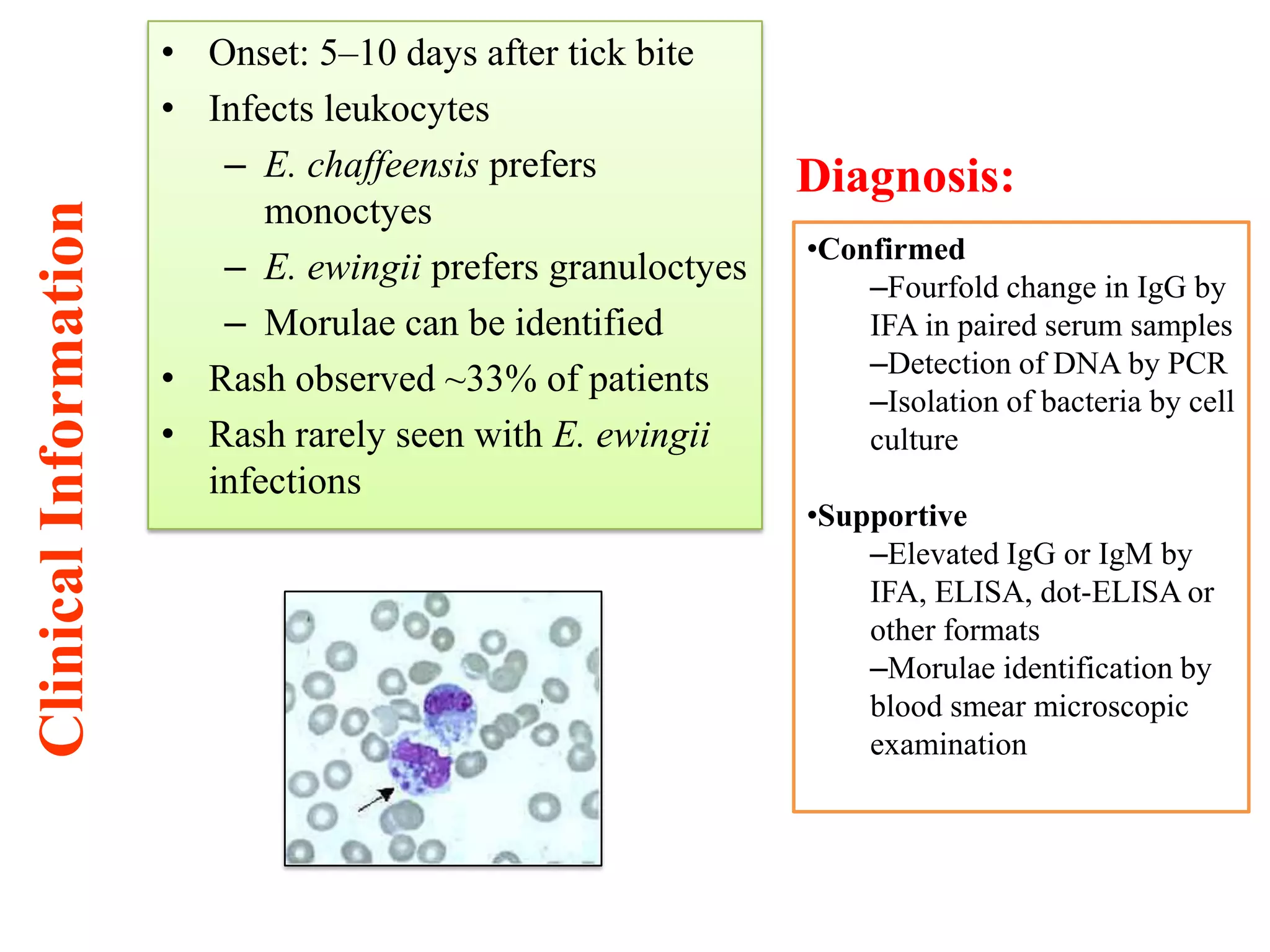 Rickettsial Diseases | PPTX