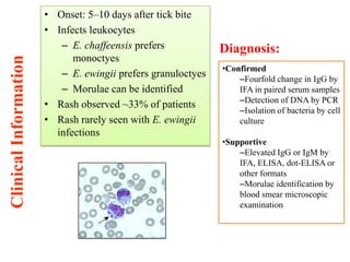 Rickettsia Rickettsii Rash