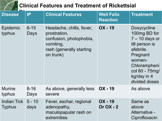 Rickettsial diseases | PPTX