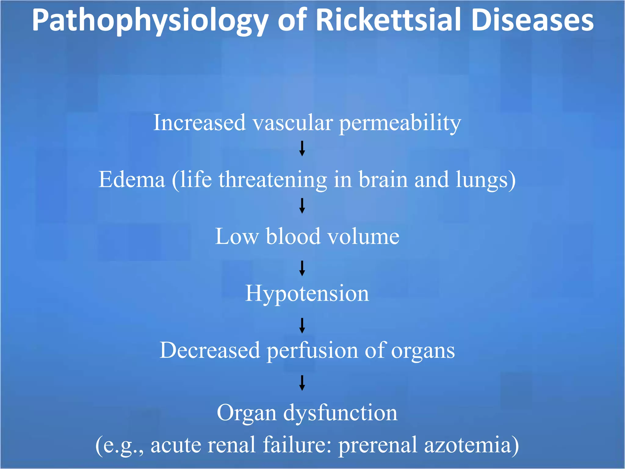 Rickettsial diseases | PPTX