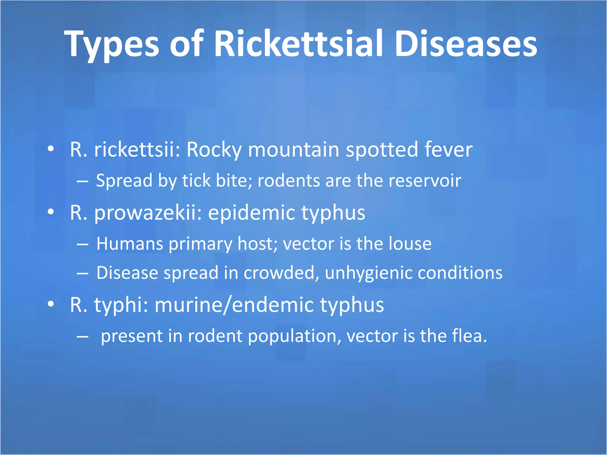 Rickettsial diseases | PPTX