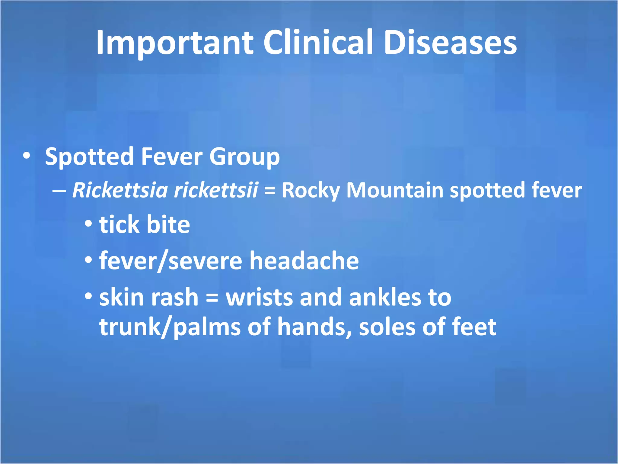Rickettsial diseases | PPTX