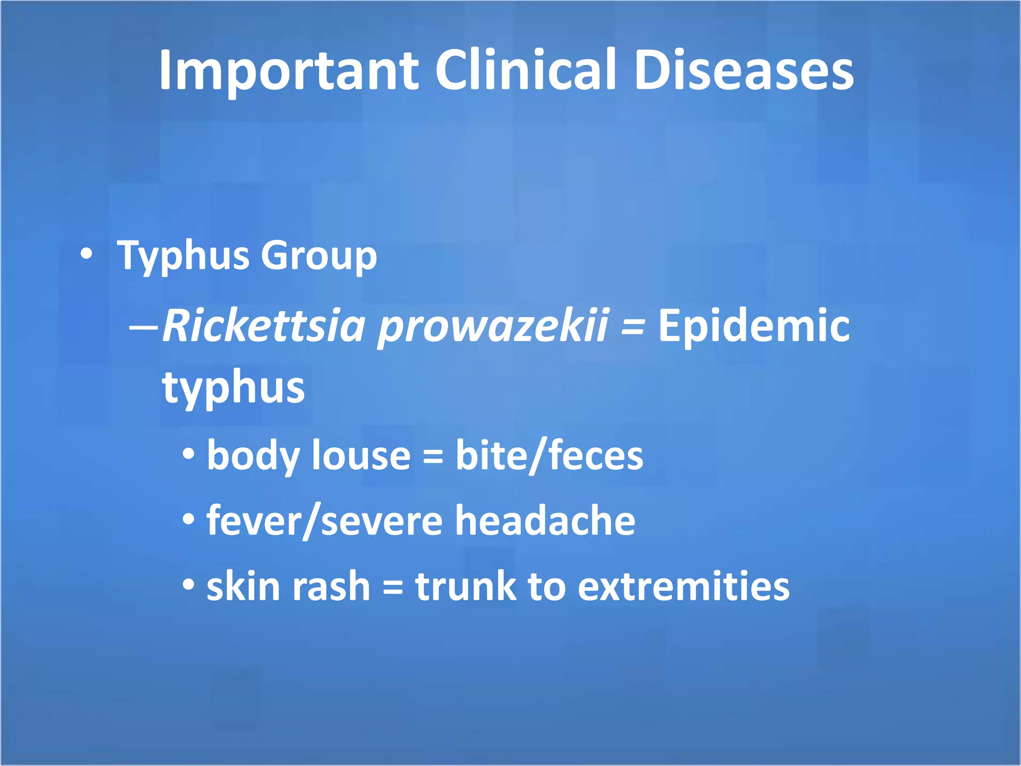 Rickettsial diseases | PPTX