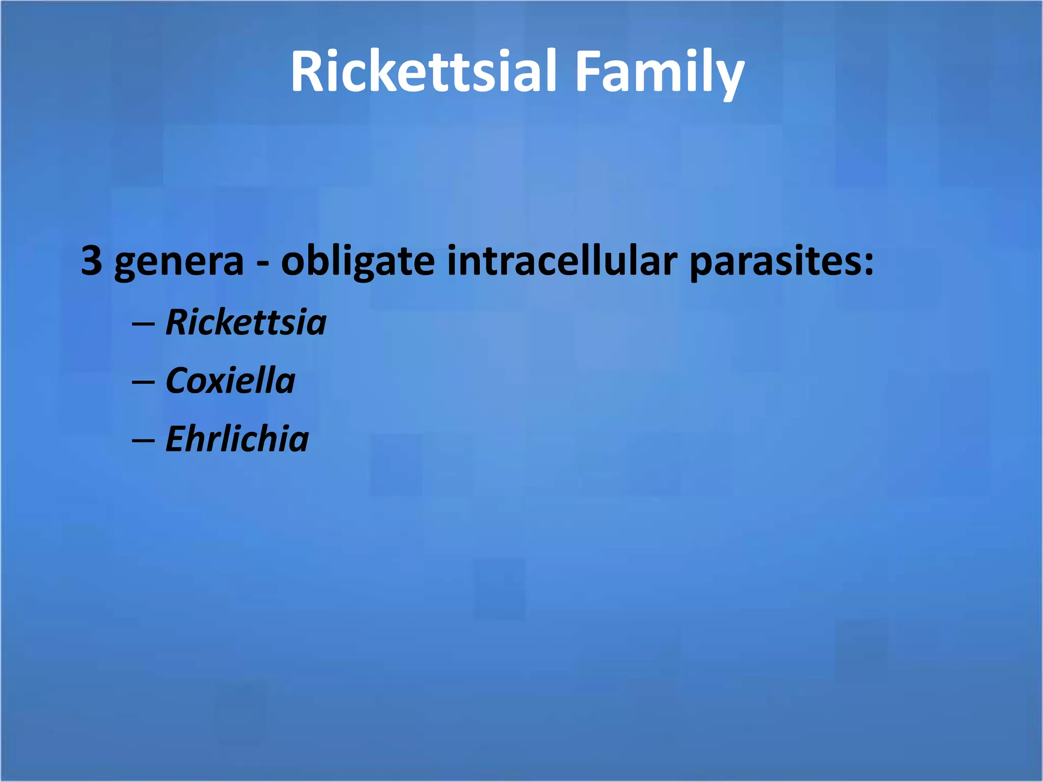 Rickettsial diseases | PPTX