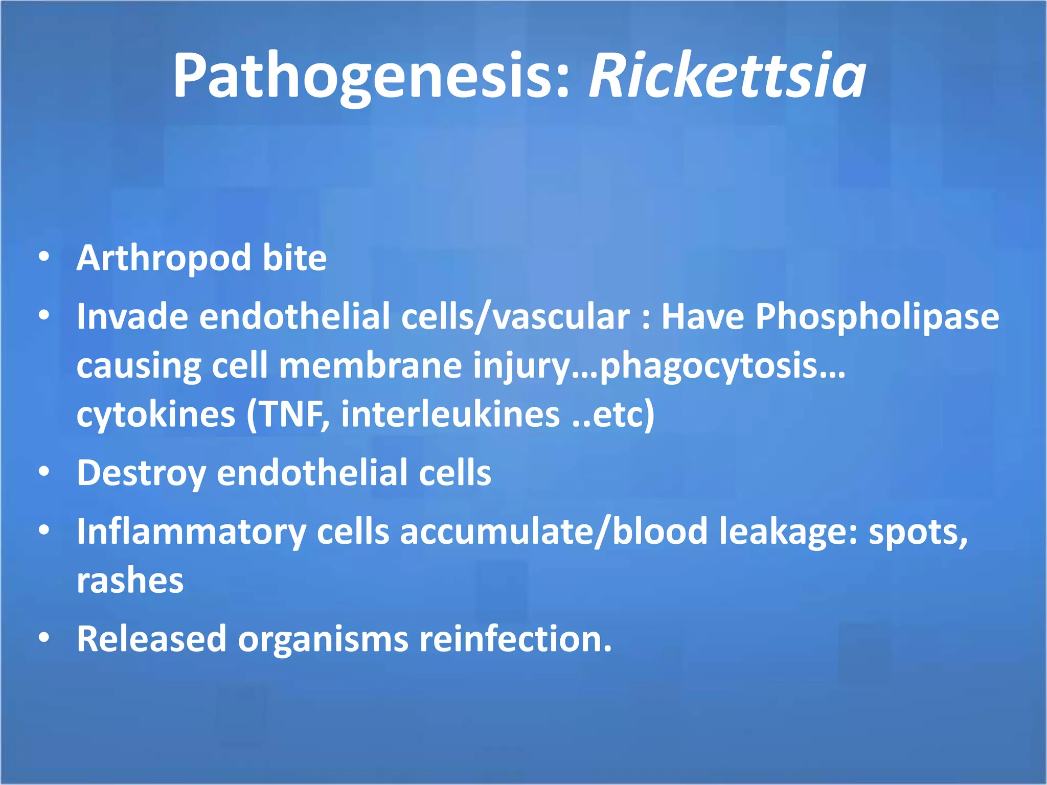 Rickettsial diseases | PPTX