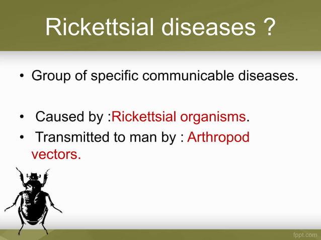 Rickettsial diseases | PPT | Infectious Diseases | Diseases and Conditions