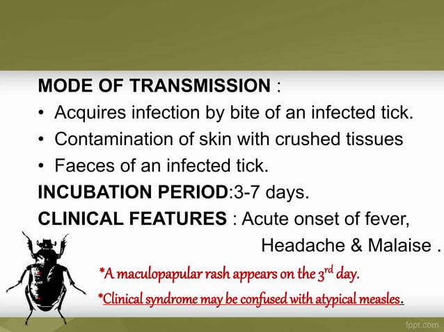 Rickettsial diseases | PPT | Infectious Diseases | Diseases and Conditions
