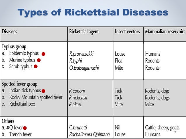Rickettsial diseases seminar 2016